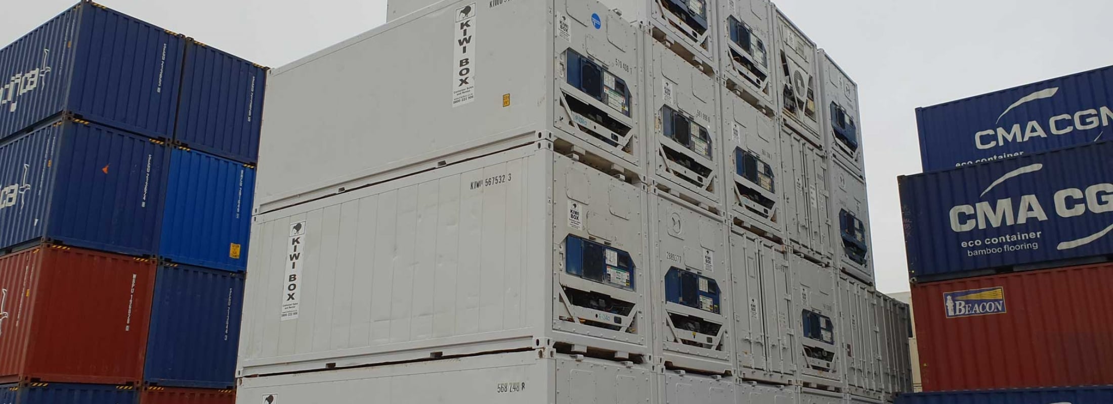 5 Common Questions About Leasing Refrigerated Containers - Kiwi Box